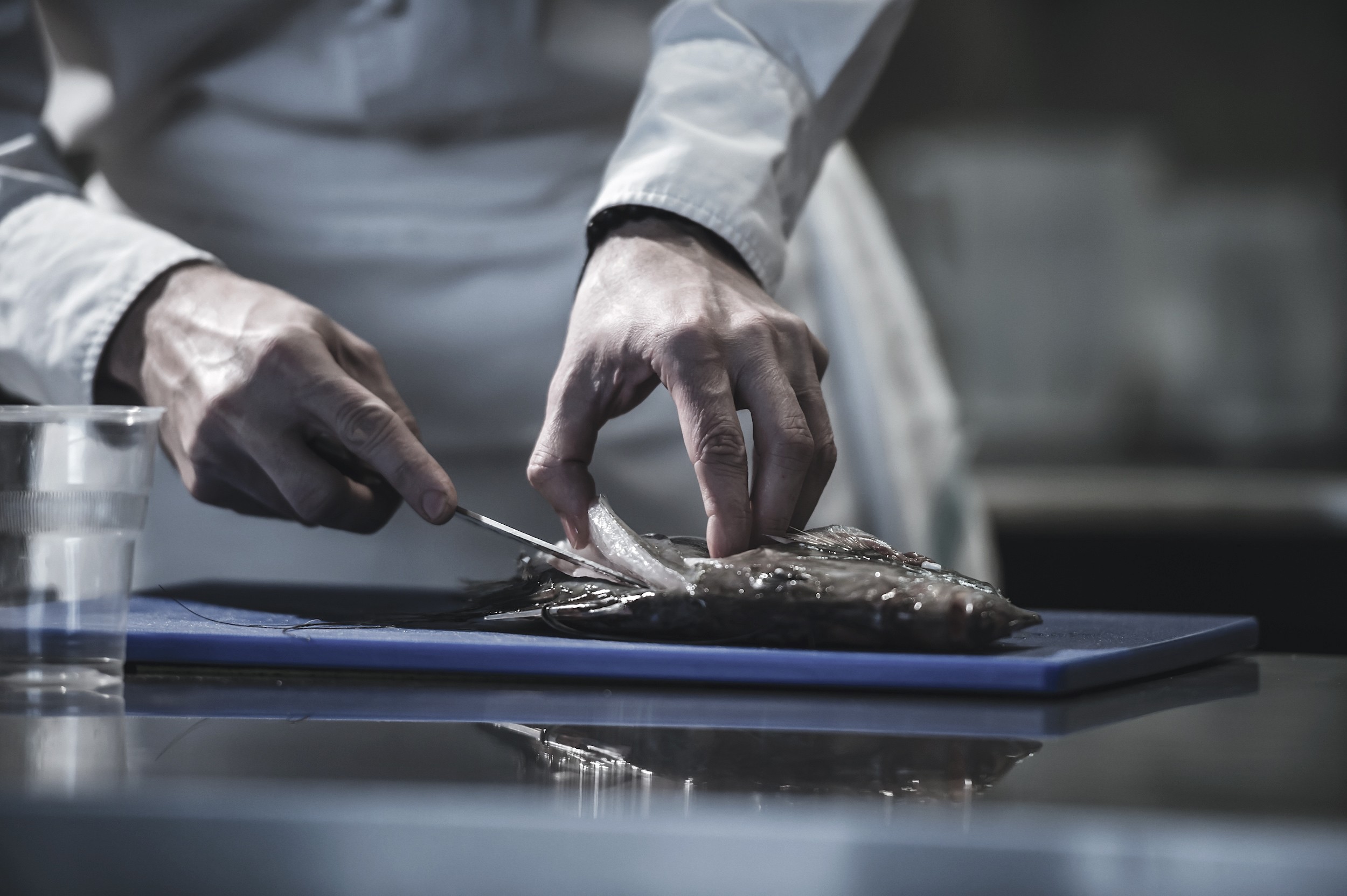 Ετήσιο Πρόγραμμα Σύγχρονων Τεχνικών Γαστρονομίας | ΙΕΚ ΔΕΛΤΑ 360°